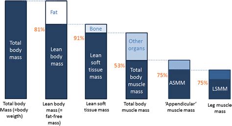 Lean Body Mass Chart