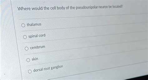 Solved Where Would The Cell Body Of The Pseudounipolar