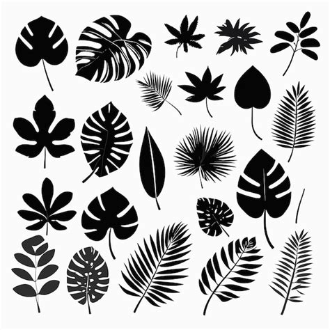 Premium Vector Leaves Silhouette Set Leaf Collection Vector Design
