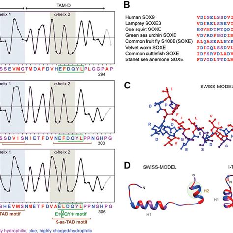 Analysis Of Soxe And Soxf Missense Variants In The Human Control