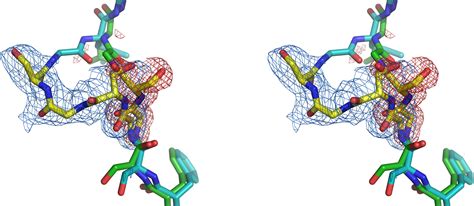 Monomerization Of Viral Entry Inhibitor Griffithsin Elucidates The