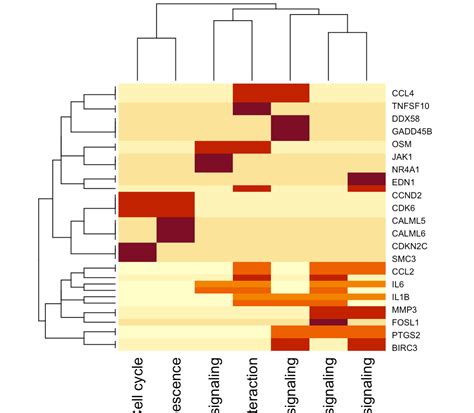 R Plotting A Heat Map Of Binary And Continious Values Stack Overflow
