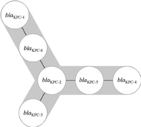 Minimum Spanning Tree Download Scientific Diagram