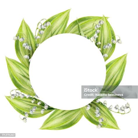 수채화 프레임과 로고는 흰색 배경에 분리된 계곡 꽃의 꽃다발이 있다 봄 손으로 그린 그림입니다 디자이너 결혼식 장식 엽서 포장지 스크랩북 표지 초대장 포스터 및 직물