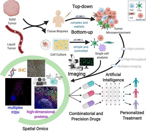 Understanding Multiplexed Imaging And Spatial Transcriptomics Genspark