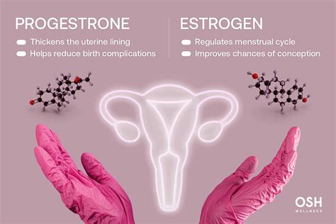 Understanding Progesterone And Estrogen Fertility Hormones