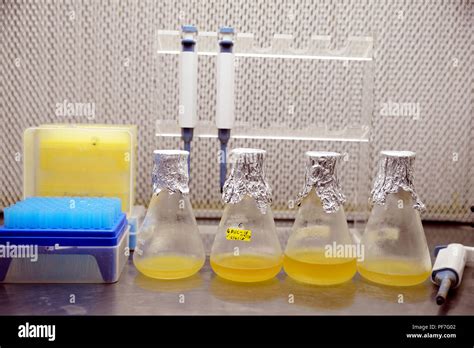 Liquid Bacterial Growth Medium Stock Photo Alamy