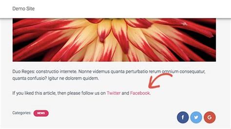 How To Create A WordPress Plugin Step By Step For Beginners