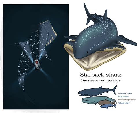 A Gentle Deep Sea Giant The Starback Shark Rspeculativeevolution