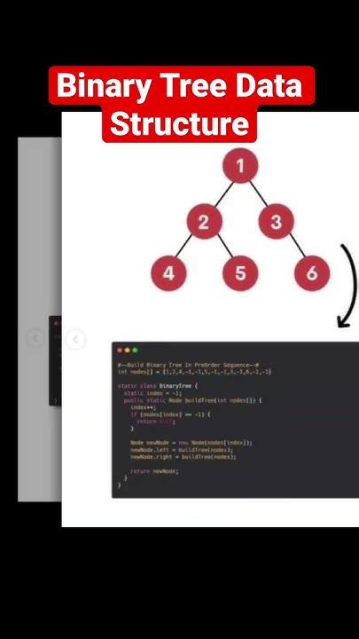 Binary Tree Data Structure Programming Coding Datastructures