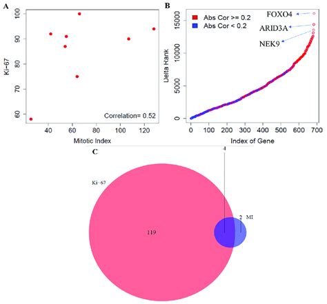 Comparative Analysis Between Mitotic Index And Ki 67 In Lcnec A