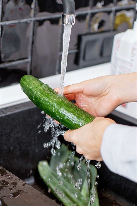 How To Store Cucumbers Keep Them Fresh Momables