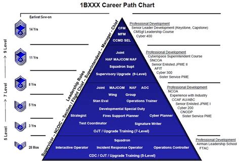 Afsc 1b4x1 Cyber Warfare Operations Career Field Education And Training Plan