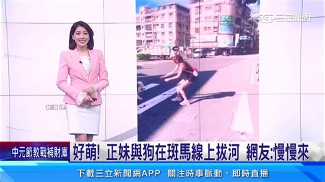 好萌！ 正妹與狗在斑馬線上拔河 網友：慢慢來│94看新聞 Youtube