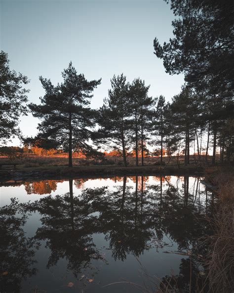 First Light Hitting The Treeline In The Background Staffordshire UK OC X R Ruralporn
