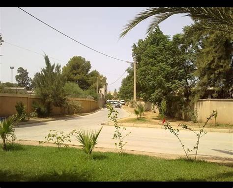 Cité Anabib Aisset Mustapha Reghaia