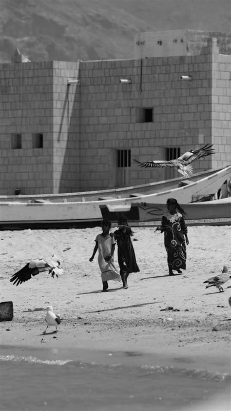 걷고 있는 당기는 모래 바다 블랙 앤 화이트 수직 쐈어 의자 잘 차려입다 잡고 있는 패션 사진 포즈를 취하는 해변에 관한 무료 스톡 사진