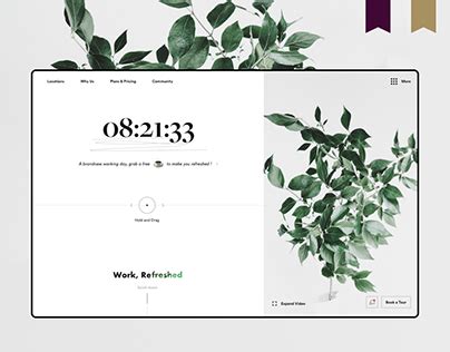 Naked Hub Web Concept Behance Behance