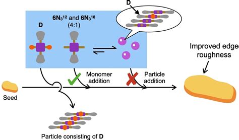 Two‐dimensional Living Supramolecular Polymerization Improvement In