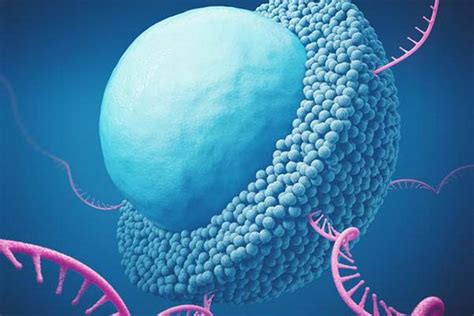 Agilent Oligonucleotide Chromatography Solutions Agilent