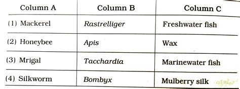 Pick Out The Correct Match