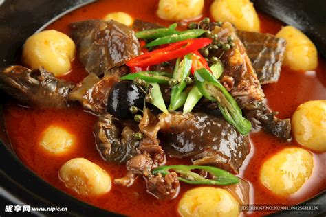 红焖甲鱼摄影图 传统美食 餐饮美食 摄影图库 昵图网