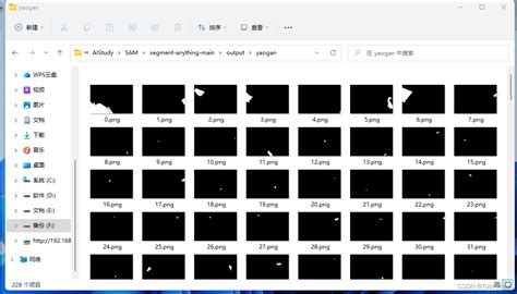 【ai】segment Anything本地部署segment Anything 本地部署 Csdn博客