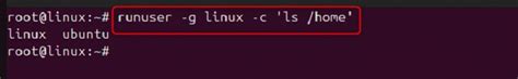 Runuser Command In Linux