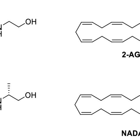 Structures Of The Cb1 Functionally Selective Endocannabinoids Aea