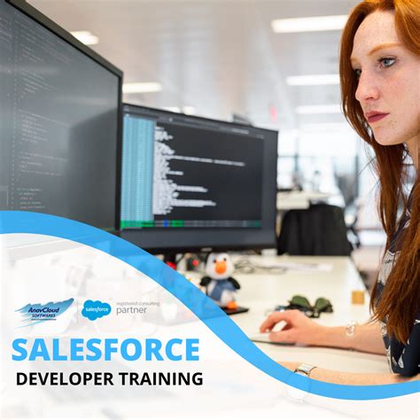 Salesforce Developer Training In Gurgaon Id 24039390291