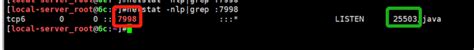 查看linux 指定java端口号的进程pidjava 通过端口号获得pid Csdn博客