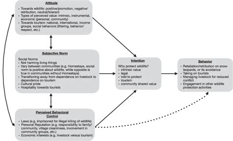 Schematic Representation Derived From The Theory Of Planned Behavior