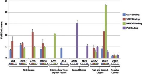 Chip Qpcr Validation Of First And Second Degree Regulation Of Genetic