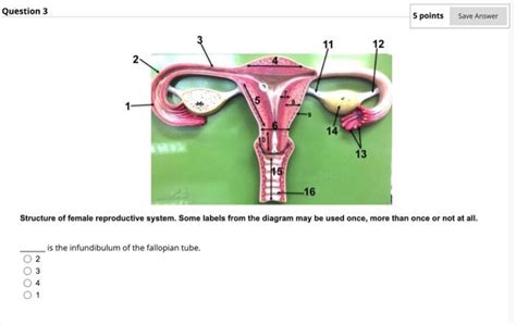 solved question 2 5 points save answer 2 9 use the diagram