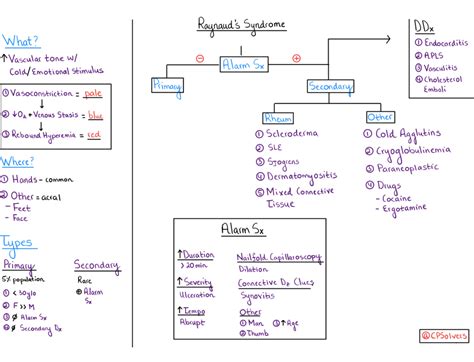 Here Is The Diagnostic Schema