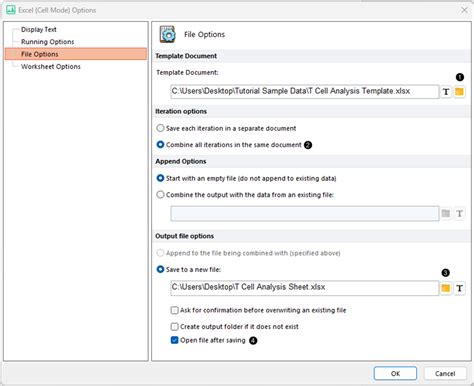 Excel Report Cell Mode