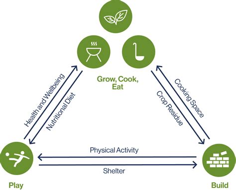Core Curriculumdiagram Iihs Urban Fellows