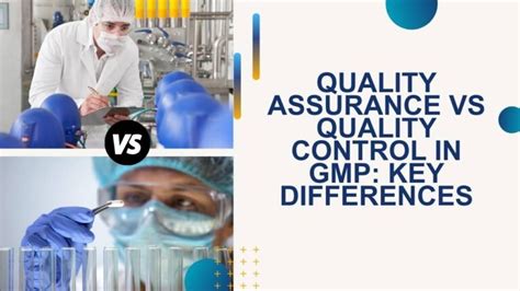 Quality Assurance Vs Quality Control In GMP Key Differences GMP Insiders