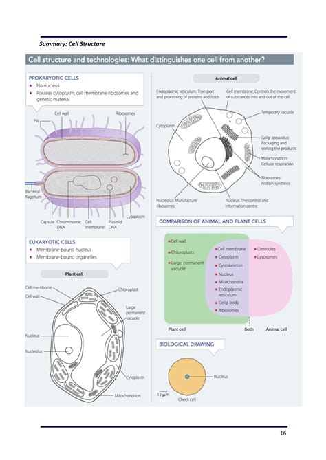 Biology Module 1 Notes Biology Year 11 Hsc Thinkswap
