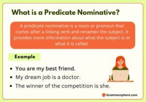 Predicate Nominative Definition Usage And Examples GrammarSphere