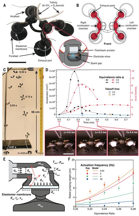 Powerful Soft Combustion Actuators For Insect Scale Robots Science