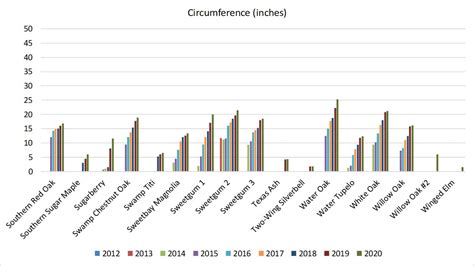 Growth Rates Of Southern Native Trees Southern Native Trees