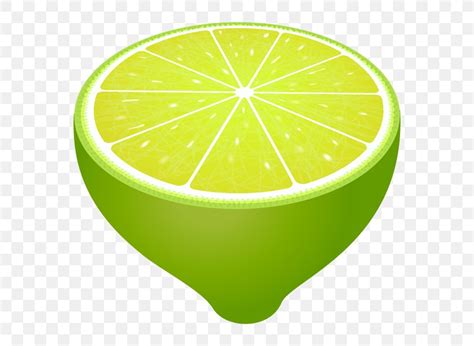 Lime Illustration Lemon Adobe Illustrator Png 600x600px Lime Citric Acid Citrus Food