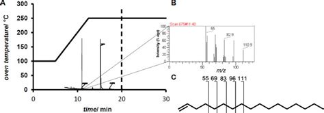 A Temperature Profile For GC MS Measurements B Fingerprint Of The Download Scientific