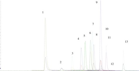 Chromatogram Of Standard Mixture Of The 13 Pesticides 01 μg L −1 1