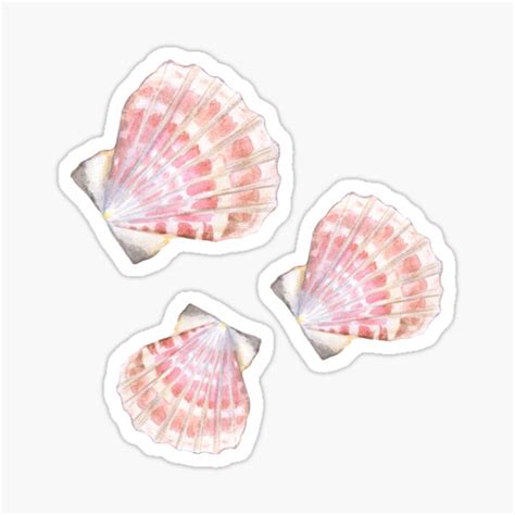 Iridescent Seashell Clam Shell Decal Seashells Clam Shell Iridescent Shell Decal Mermaid Decal