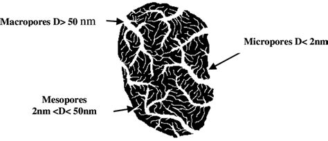 Schematic Representation Of The Different Types Of Pores Download Scientific Diagram