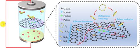 Constructing Orbital Coupling Modulated Homogeneous Dual Atom Fefe