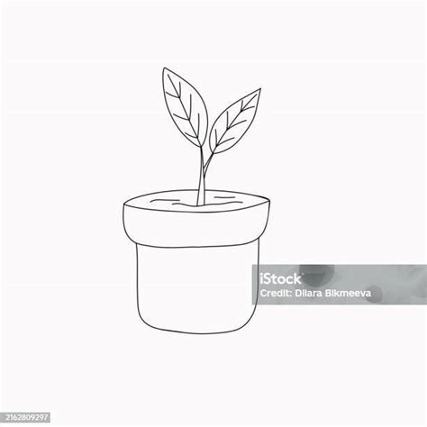 벡터 선형 스케치 집 식물 그림입니다 화분에 관엽 식물 실내 및 사무실 식물 손으로 그린 열대 집 식물 스칸디나비아 스타일의