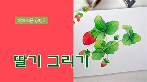 작고 예쁜 수채화 26 딸기그리기 Youtube